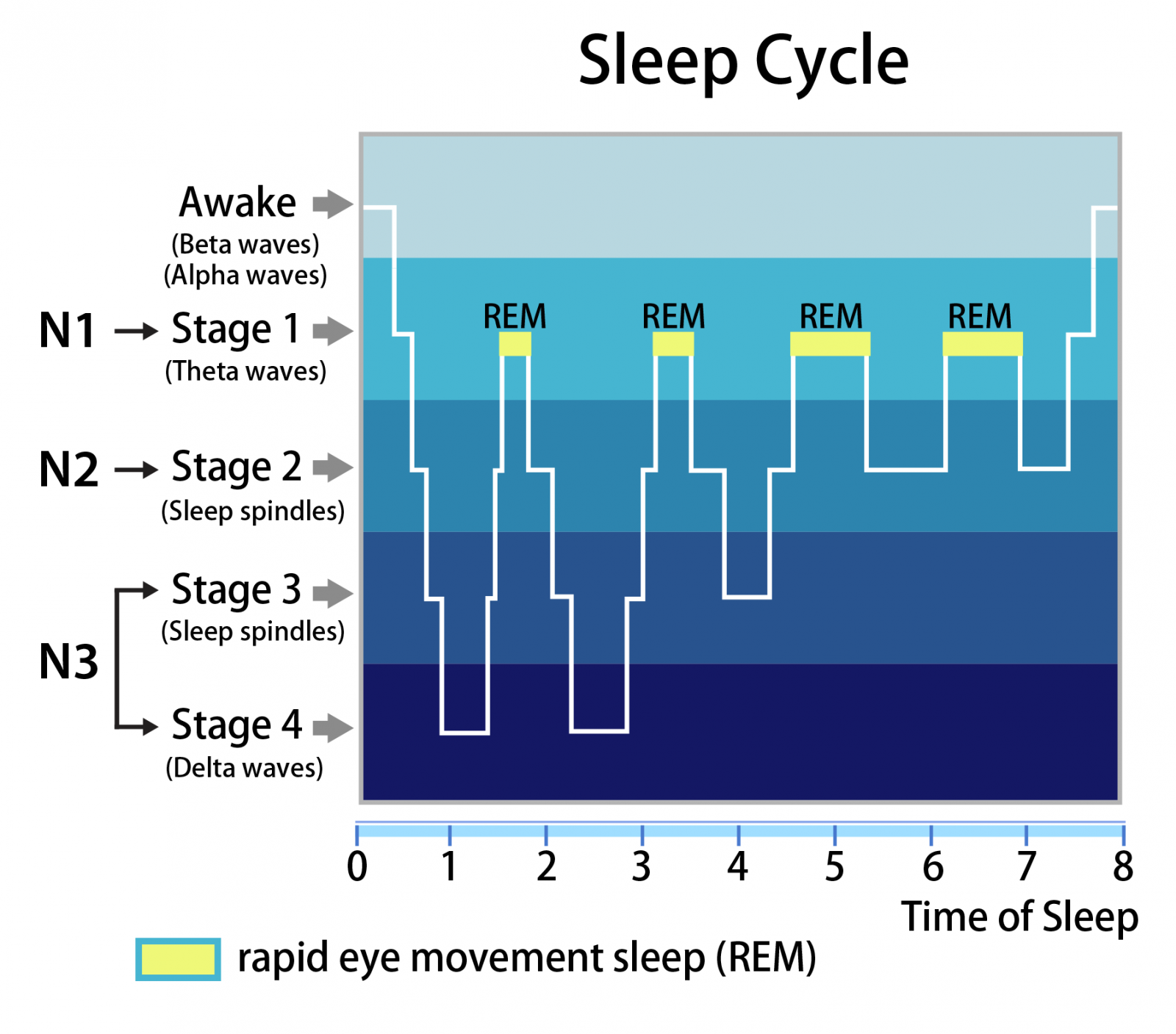Sleep Disorder